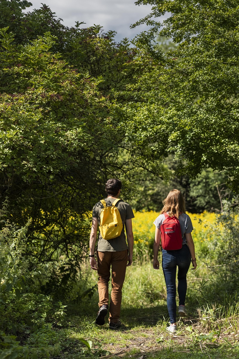 Marais de Baillon - Destination Parc naturel régional Oise-pays de France